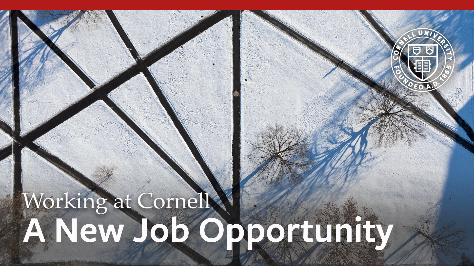 New Career Opportunity: Student Services Coordinator (Hybrid)